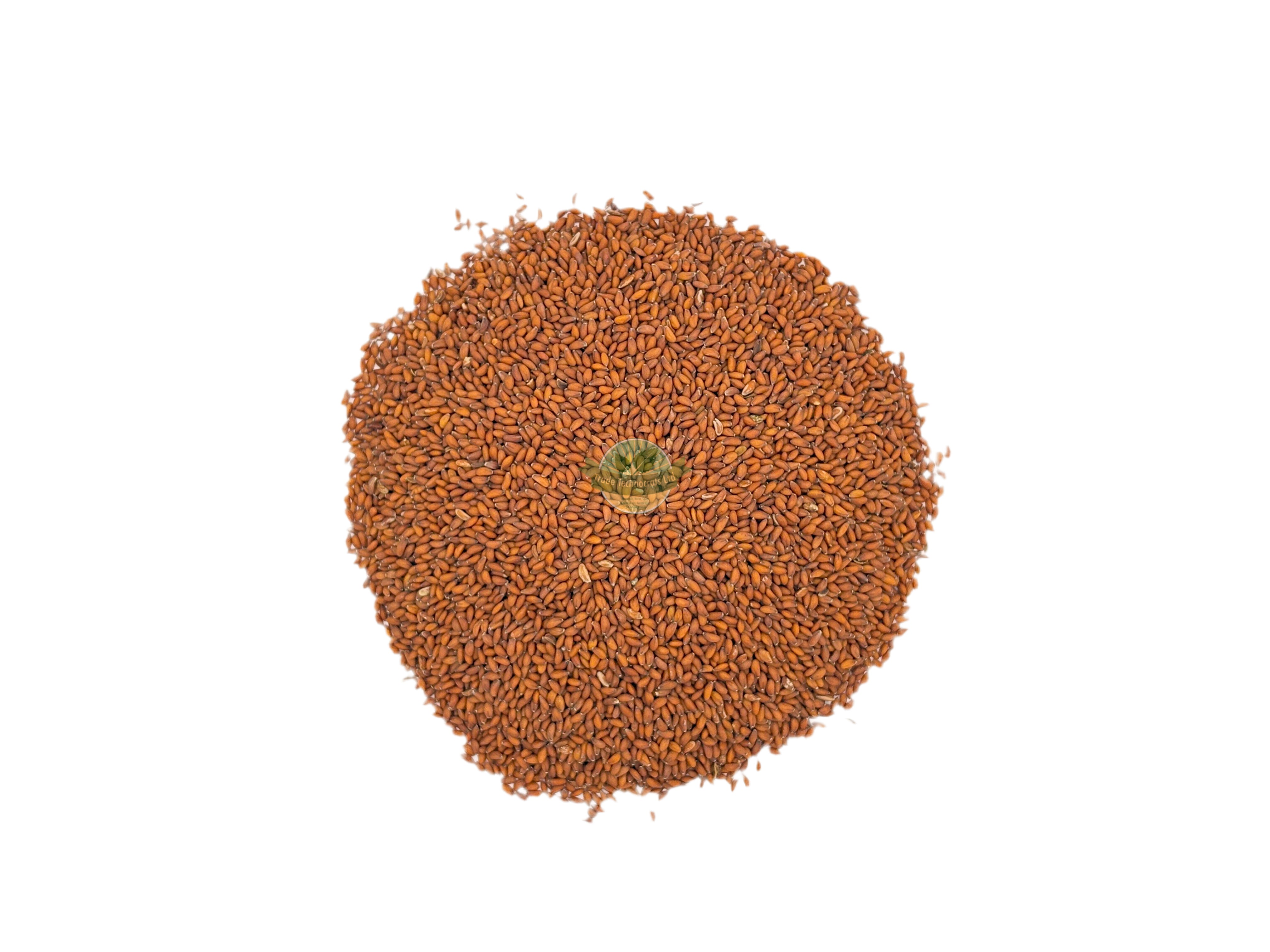 Whole Herbs & Spices – Trade Technocrats Ltd